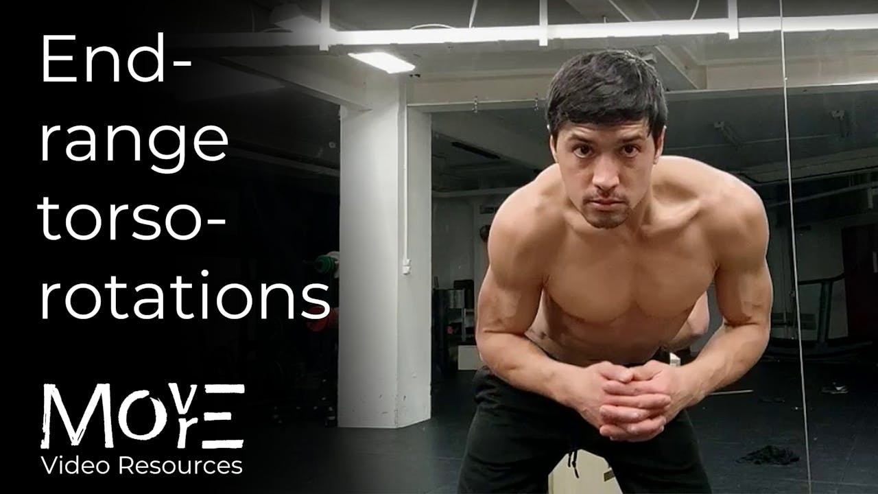 ‘Torso-rotations’ spinal-segmentation - Spine & scap: 'local ...