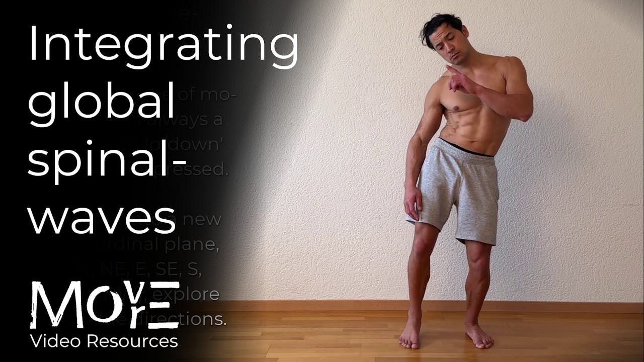 Integrating global spinal-waves - Spine & scapulae: 'Global' patterns ...