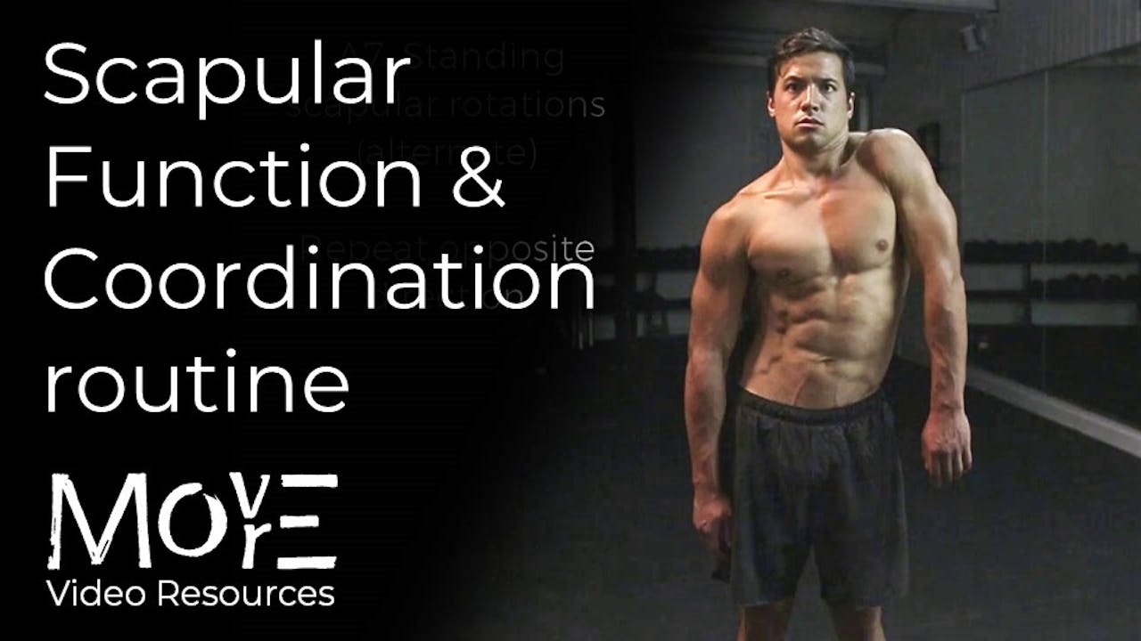 Scapular Function & Coordination Routine - 'Global' spine & scapulae ...