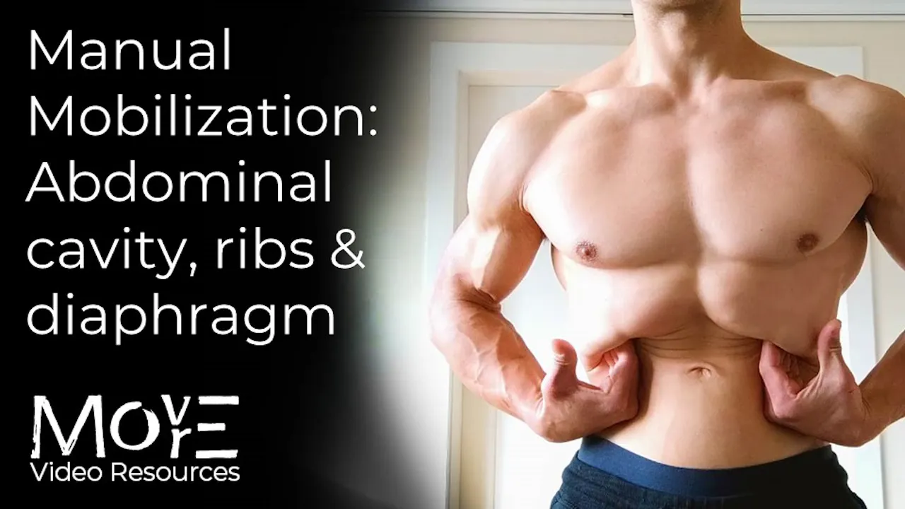 Manual Mobilization - Abdominal cavity, diaphragm & ribs - Manual ...