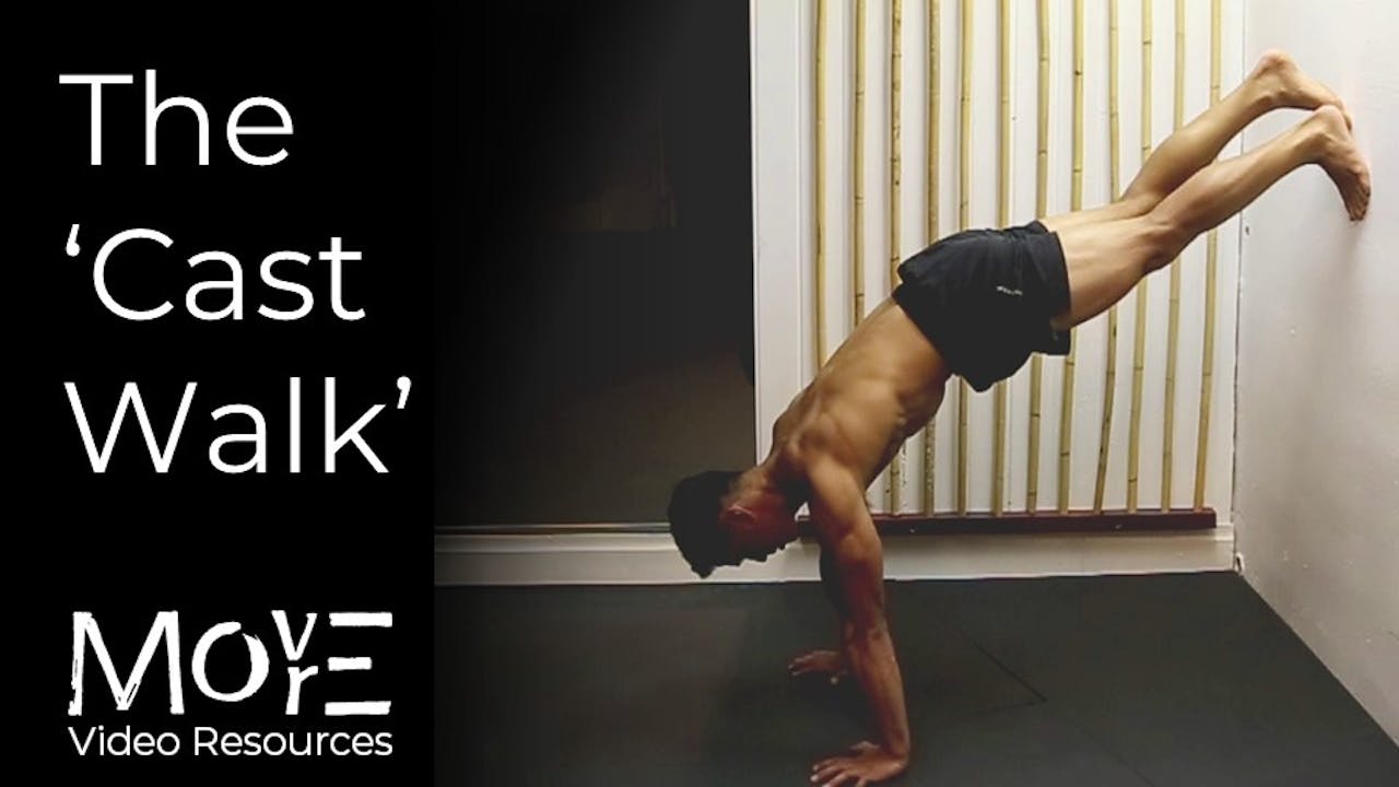 The 'Cast Walk' - SAS push (horizontal) - The MoreMore Video Resource ...