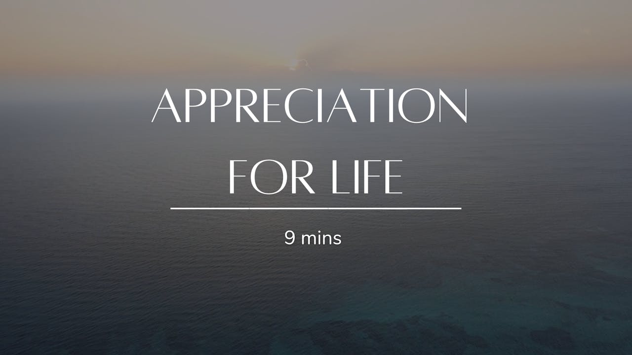 Appreciation for Life - T — F Studio