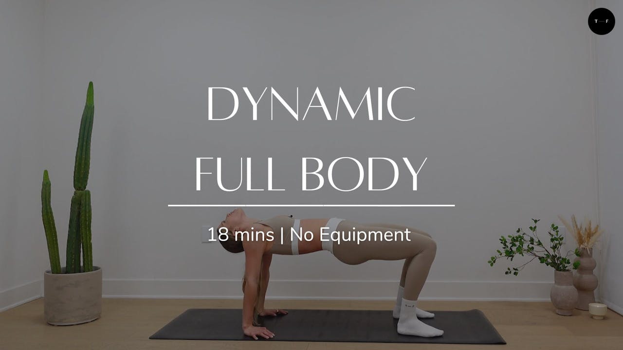 Dynamic Full Body - T — F Studio