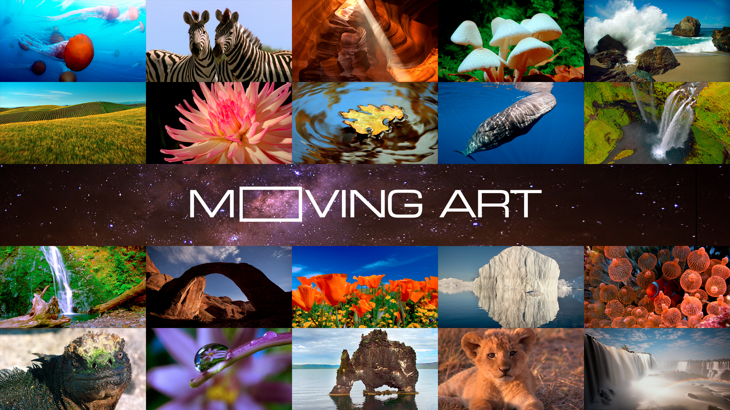 Moving Art