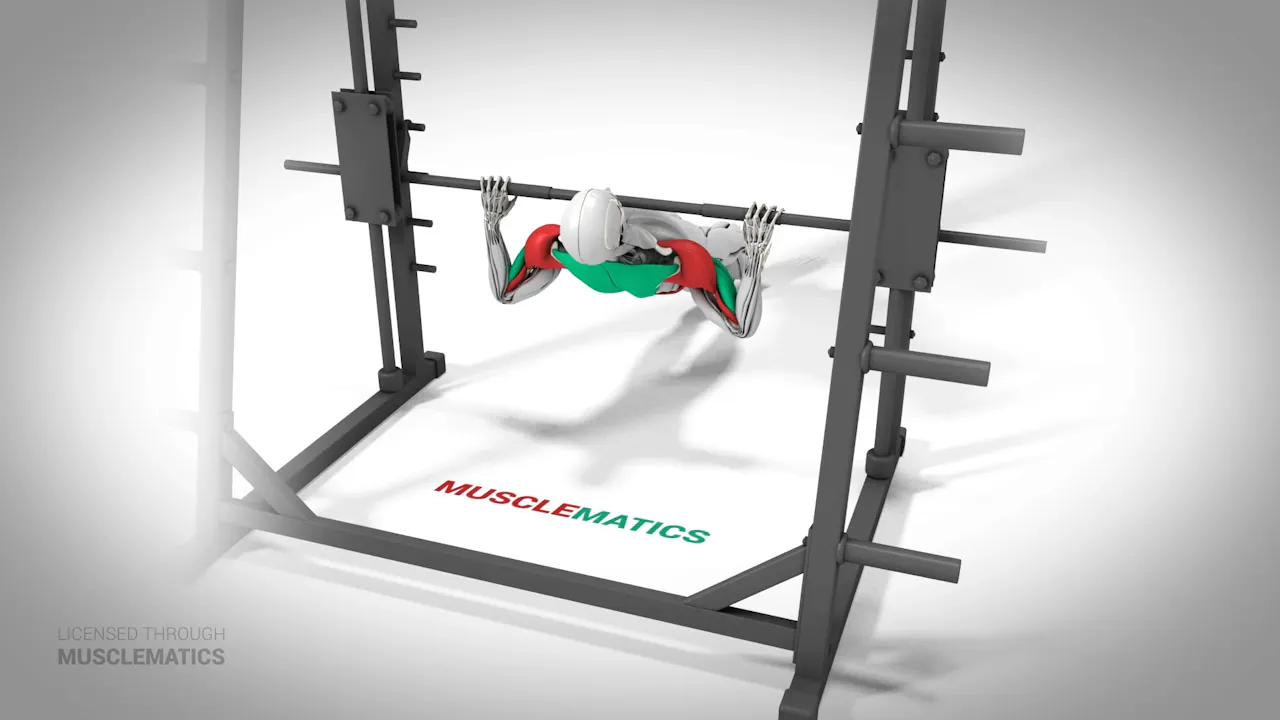 Inverted Row - (All Views) - MuscleMatics