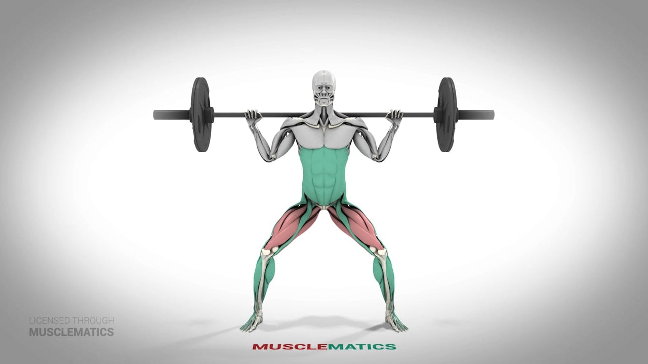 Power Squats - (All Views) - Muscle Group: Lower-Body - MuscleMatics
