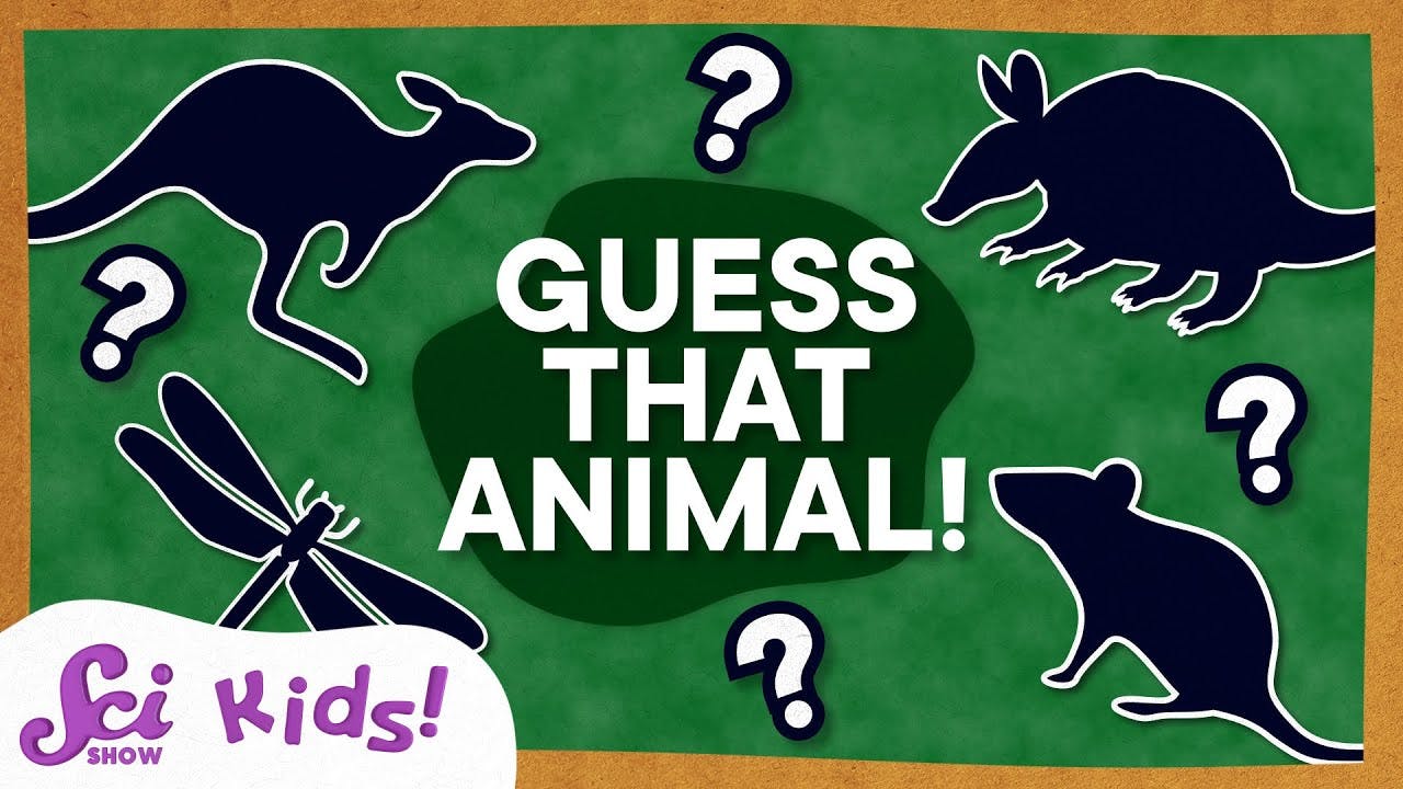Animal Guessing Game! | SciShow Kids Compilation - Season 1 - My ...