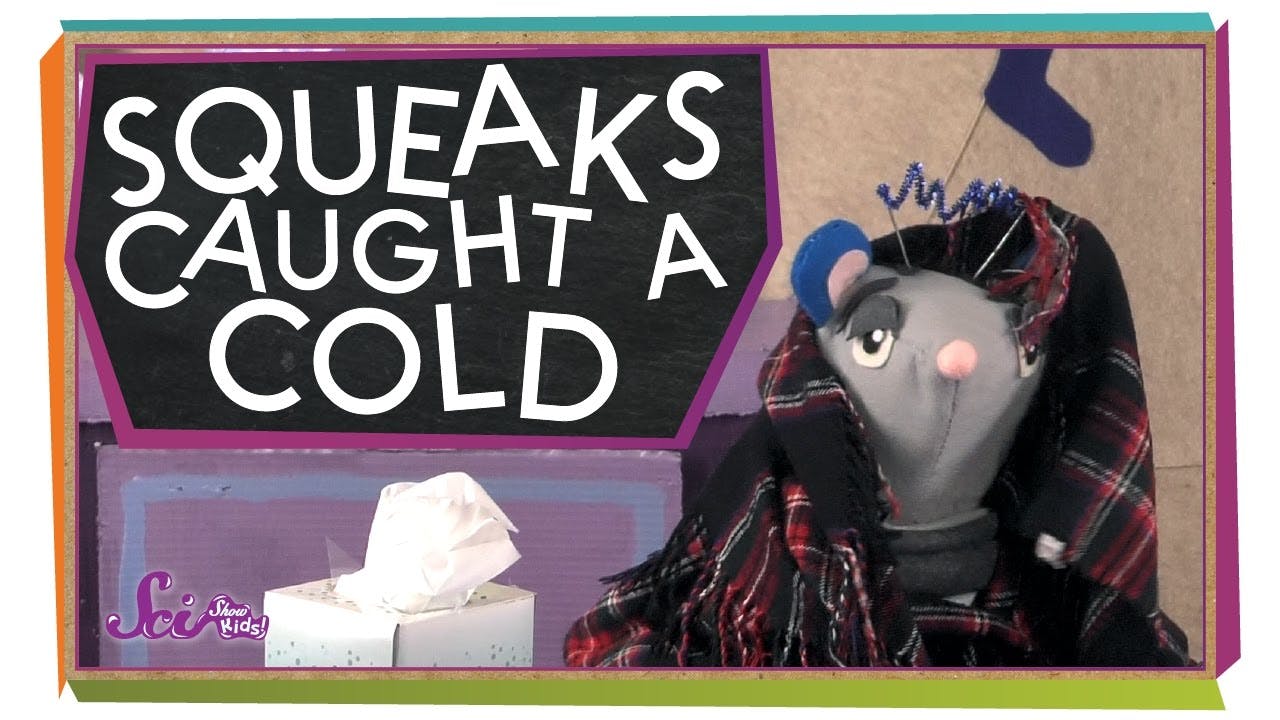 Why Do We Get Sick? | SciShow Kids Compilation - Season 1 - My Signing Time