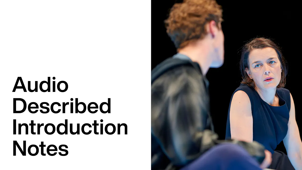 Mosquitoes: Audio Described Introduction Notes - National Theatre at ...