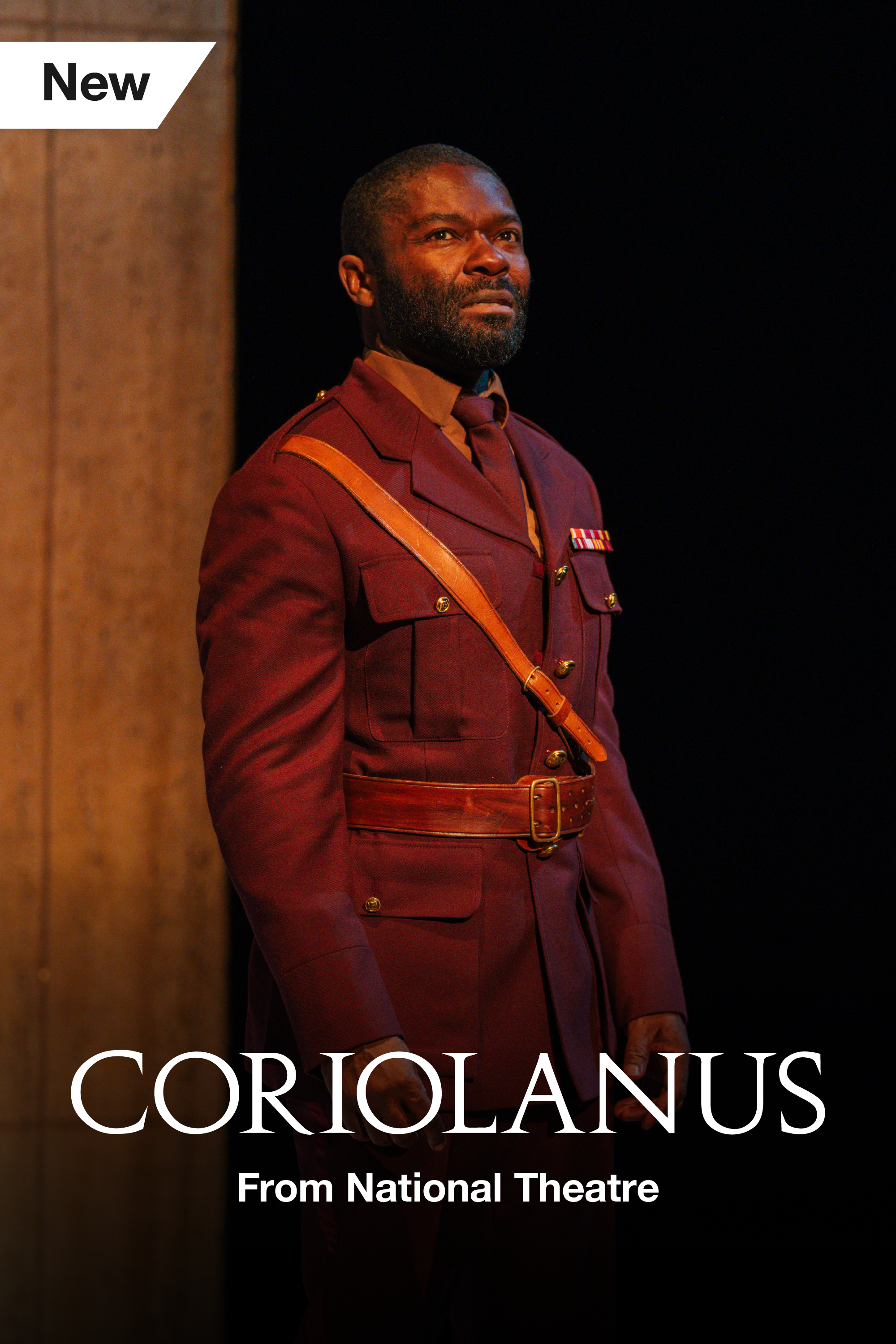 All plays - National Theatre at Home