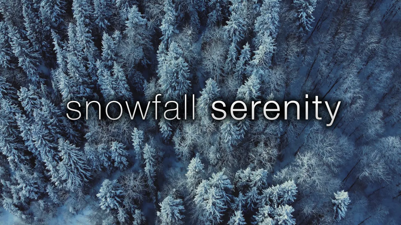 Snowfall Serenity - 2.5HR, 4K - WINTER FILMS - Nature Relaxation™ On-Demand