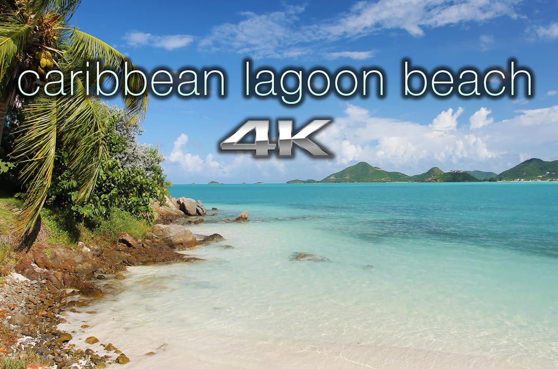 Caribbean Lagoon Beach 1 HR Static Nature Scene 4K - Nature Relaxation ...