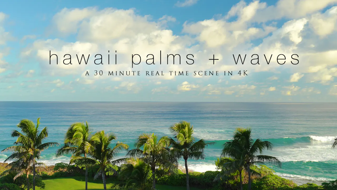 Hawaii Coastal Palms & Waves - 30 MIN Real Time Nature Scene in 4K UHD ...