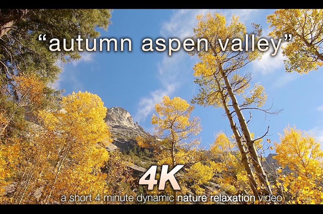 Autumn Aspen Valley Relaxation 10 MIN Music + Nature Video 4K - Nature ...