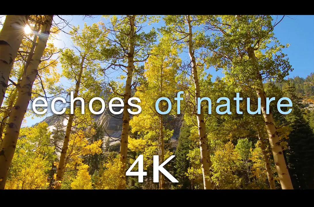 Golden Echoes of Nature 2 MIN Music + Nature Relaxation Video - Nature ...