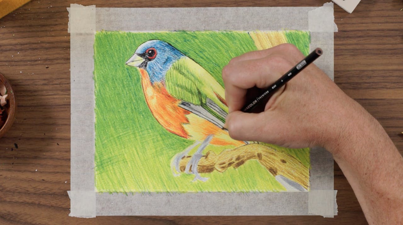 3. Darker Tones & Shadows - Animal Level 2: Bird Drawing Art Set ...