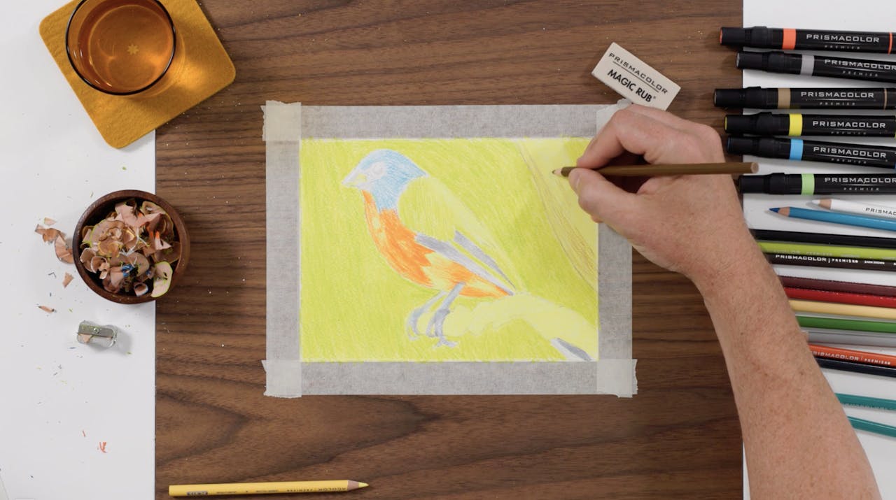 2. Exploring Shading Techniques - Animal Level 2: Bird Drawing Art Set ...