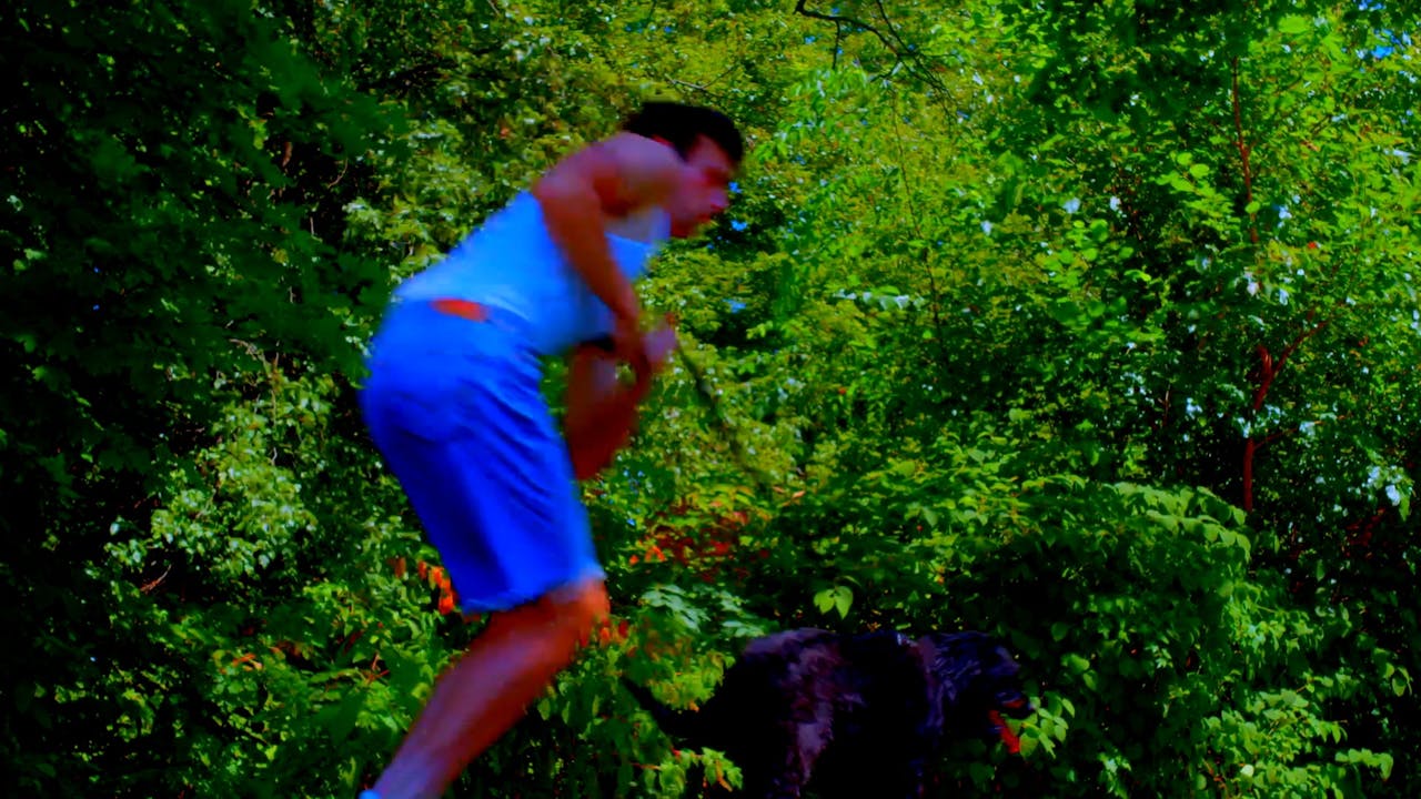 Destroyed Scenes ("Pricks of Sensation") - NoBudge