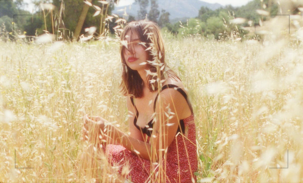 Pink Wings - NoBudge