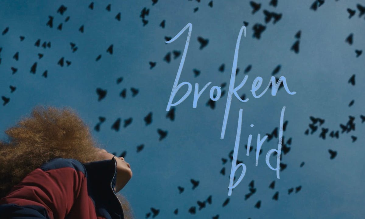 Broken Bird - NoBudge