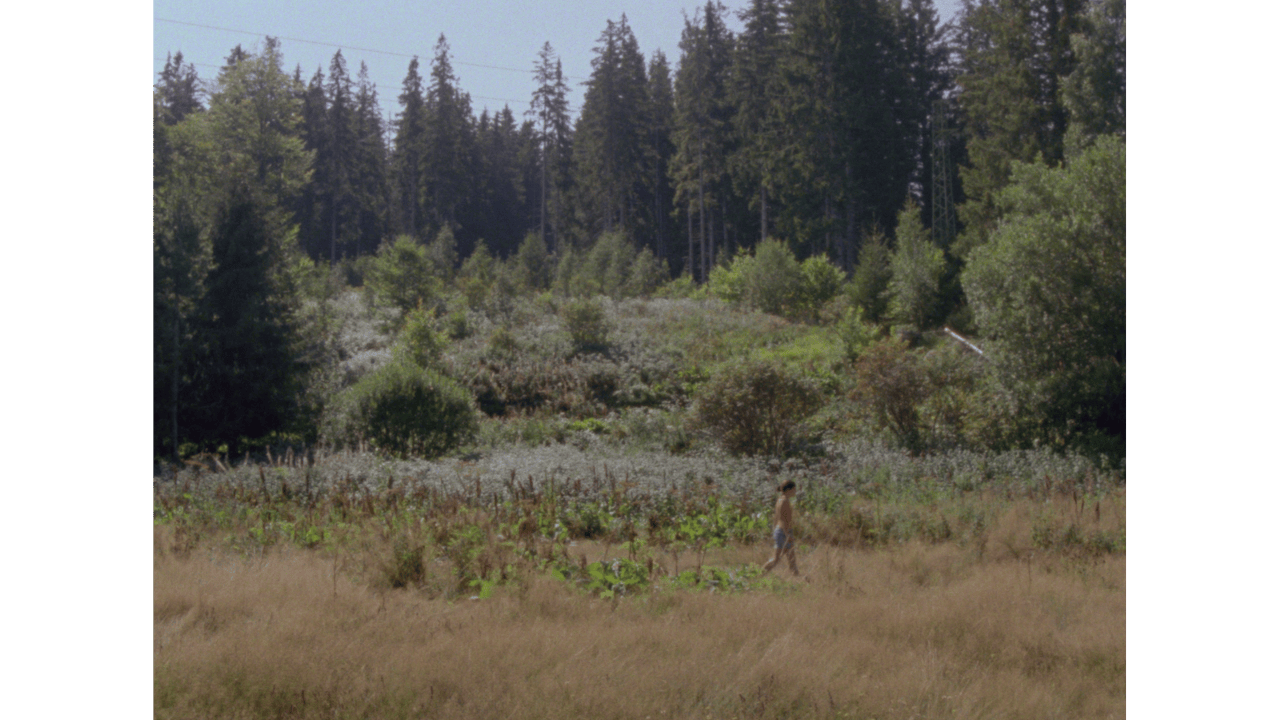 Trailer | Everything Tastes Strange Today - NoBudge