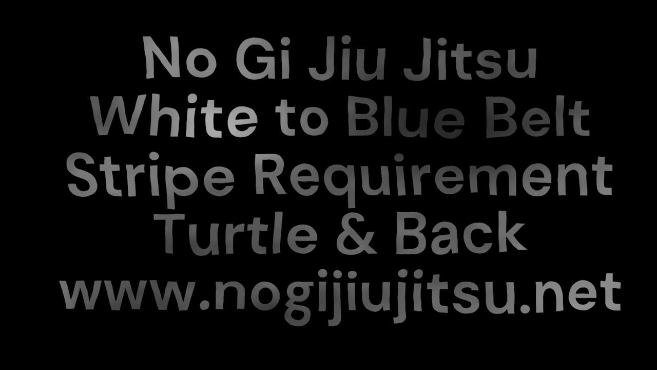White Belt 4th Stripe - Turtle & back attacks and escapes - No Gi Jiu ...