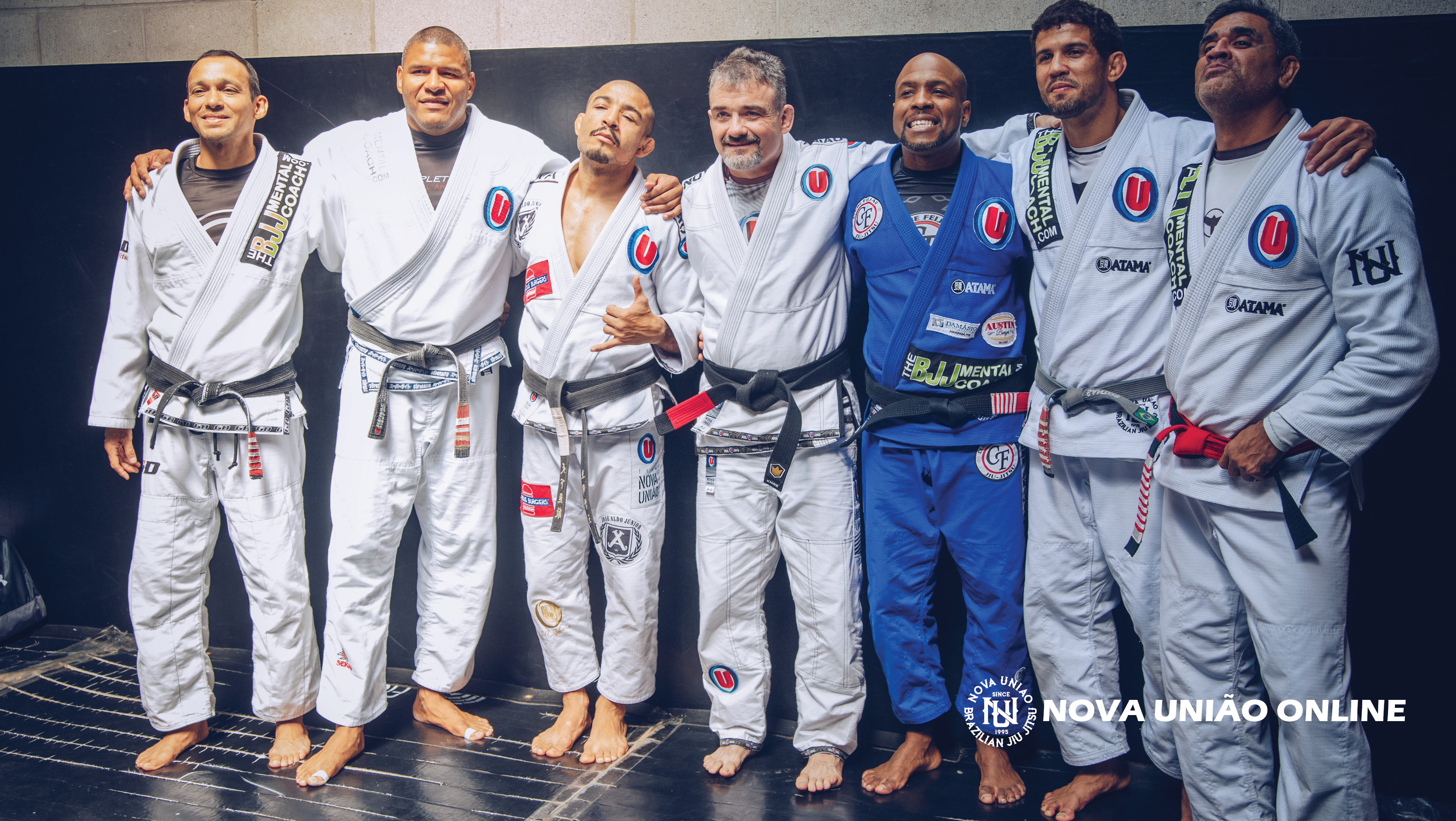 Professors - Nova União Online