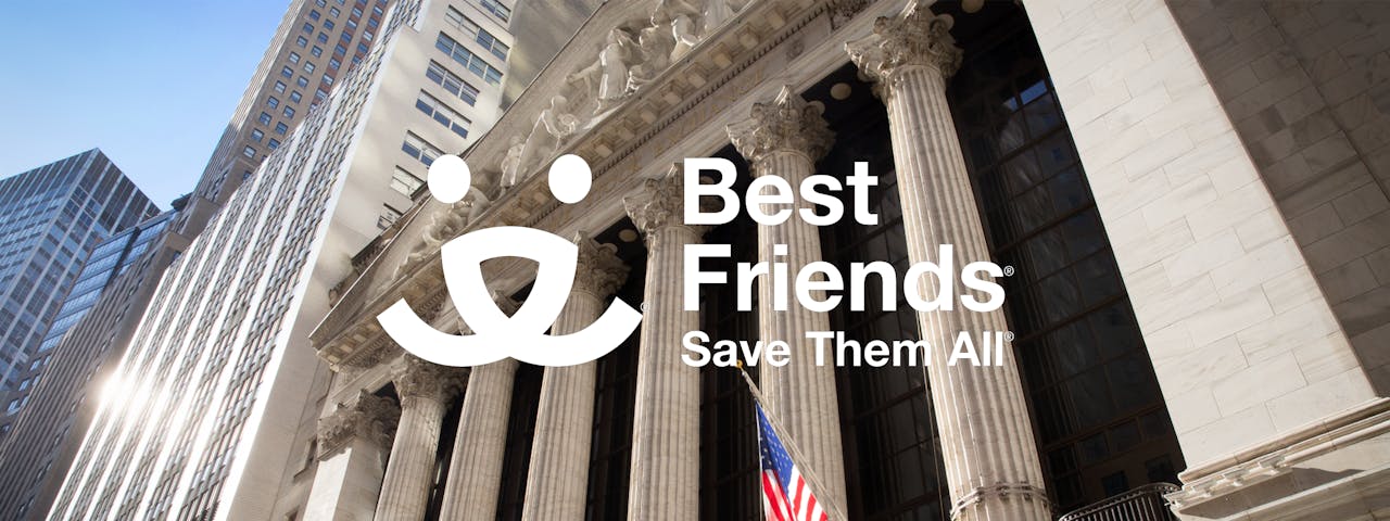Best Friends Animal Society Rings The Closing Bell® - 2024 NYSE Closing ...