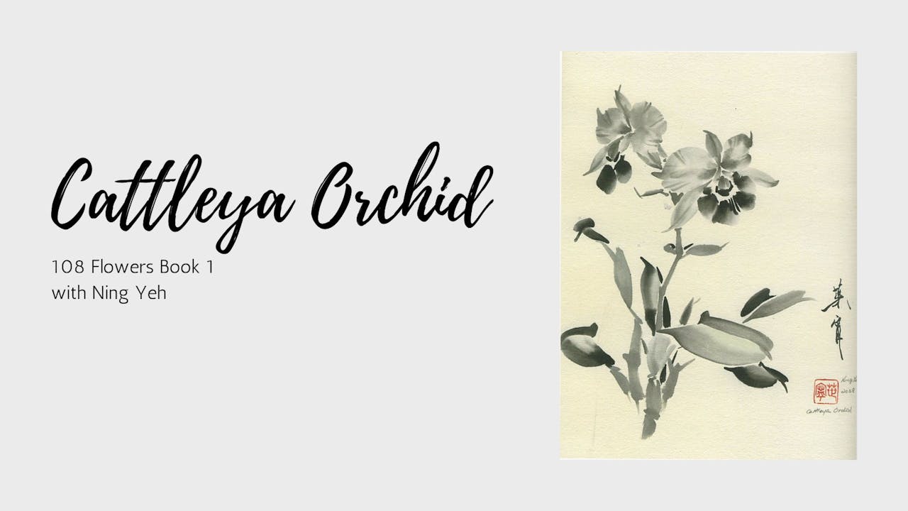 Cattleya Orchid - 108 Flowers - Book 1 - OASLife