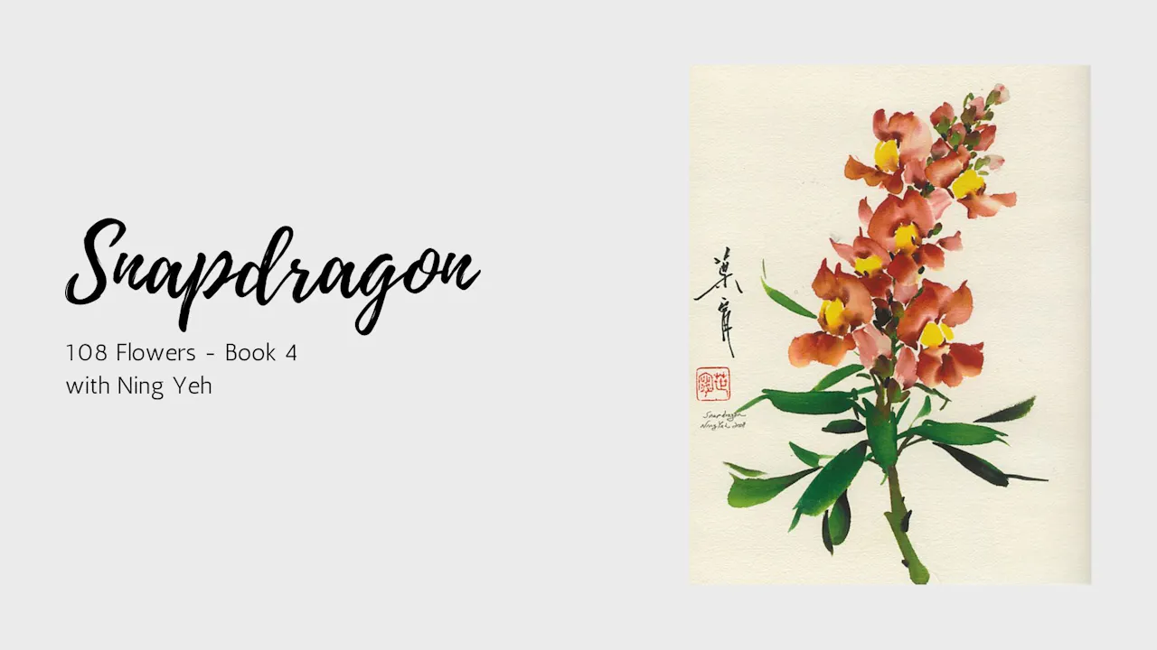 Snap Dragon - 108 Flowers - Book 4 - OASLife