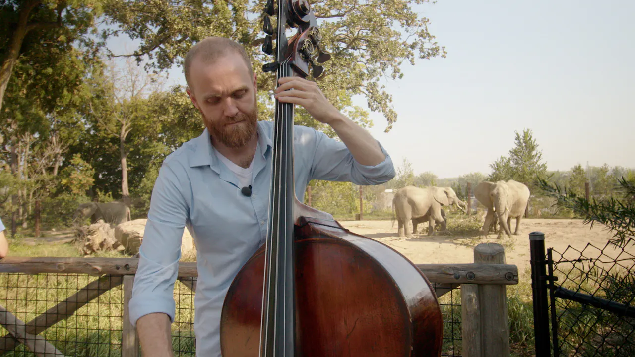 The Elephant & The Bass - Omaha Symphony | Anywhere