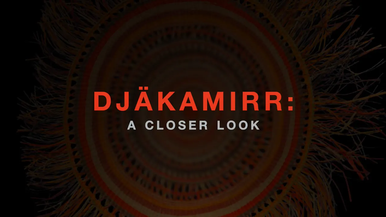 DJÄKAMIRR: a closer look - EDUCATION LICENSE - DJÄKAMIRR - One20 ...