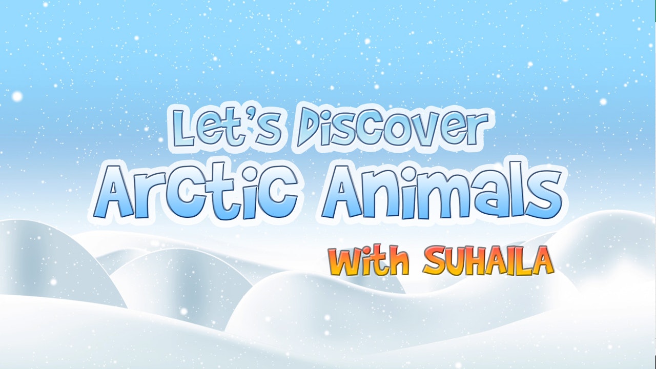 Zaky Discovers Arctic Animals - Zaky's Discoveries - One4kids tv