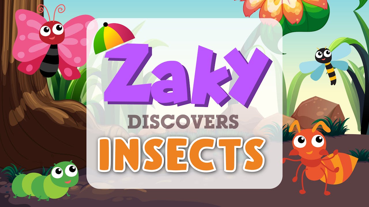 Zaky Discovers Insects - Let's Learn About Animals With Zaky! - One4Kids TV