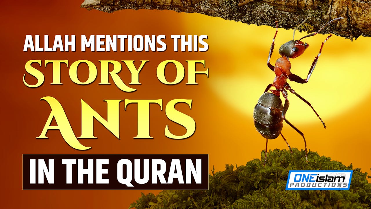 ALLAH MENTIONS THIS STORY OF ANTS IN THE QURAN - One Islam TV