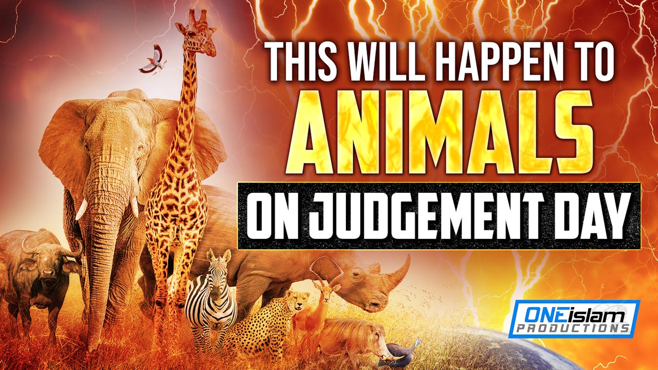 THIS WILL HAPPEN TO ANIMALS ON JUDGEMENT DAY - Judgement Day - One Islam TV