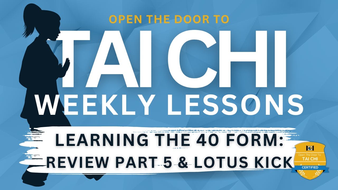 Learning the 40 Form: Review Section 5 + Lotus Kick (OTD Lessons ...
