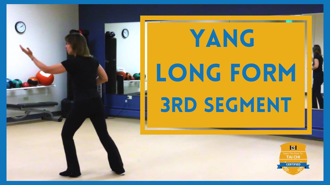 3rd segment of Yang Long Form - Instructor - Open the Door to Tai Chi