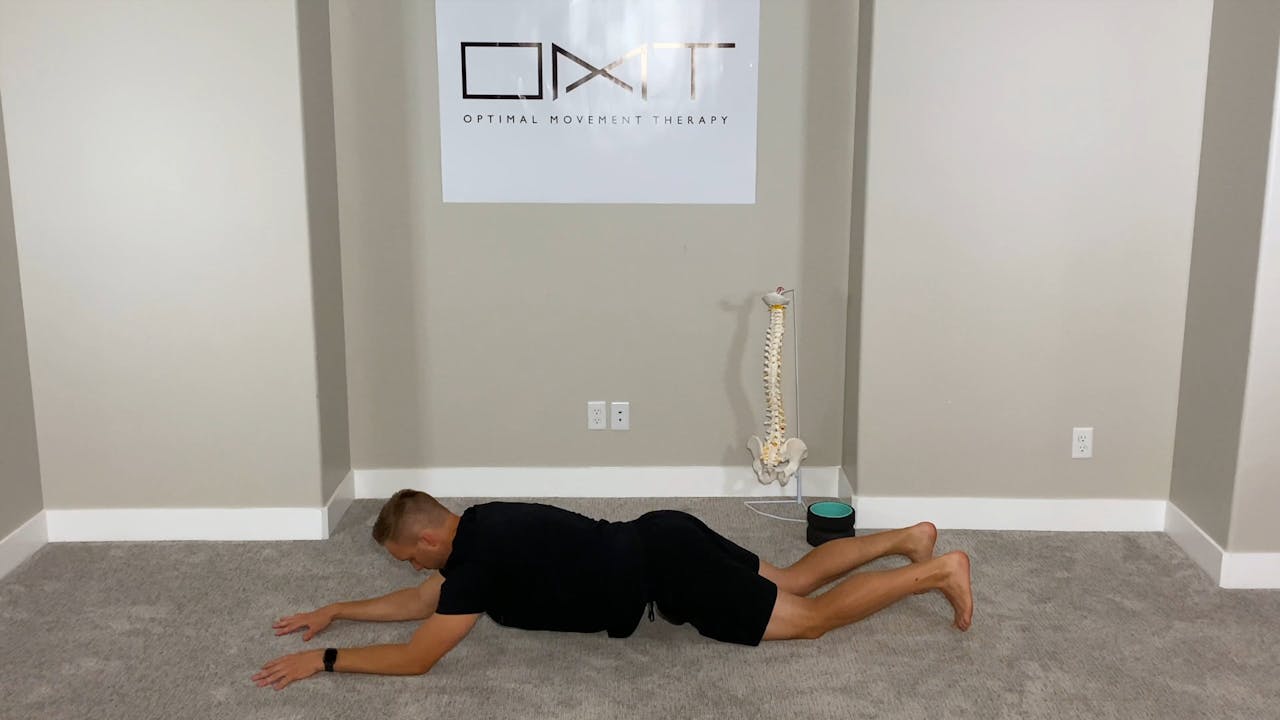 OMT 3 - Optimal Movement Therapy