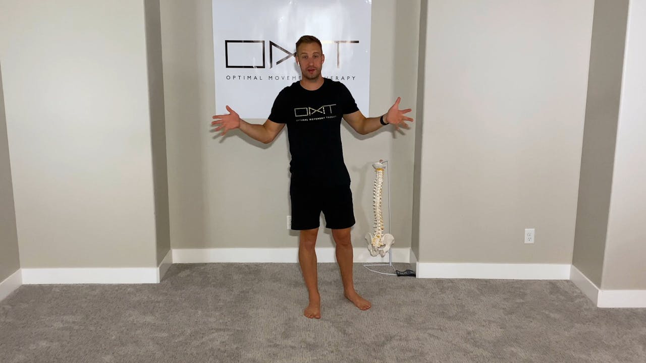 OMT 2 - OMT Program - Optimal Movement Therapy