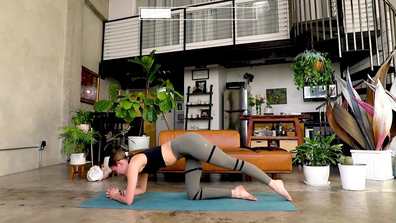 30min Yogi Bootcamp - The OG Method - The OG Method