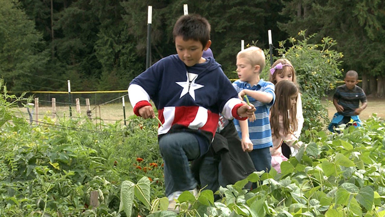 Cultivating Kids - OVID.tv