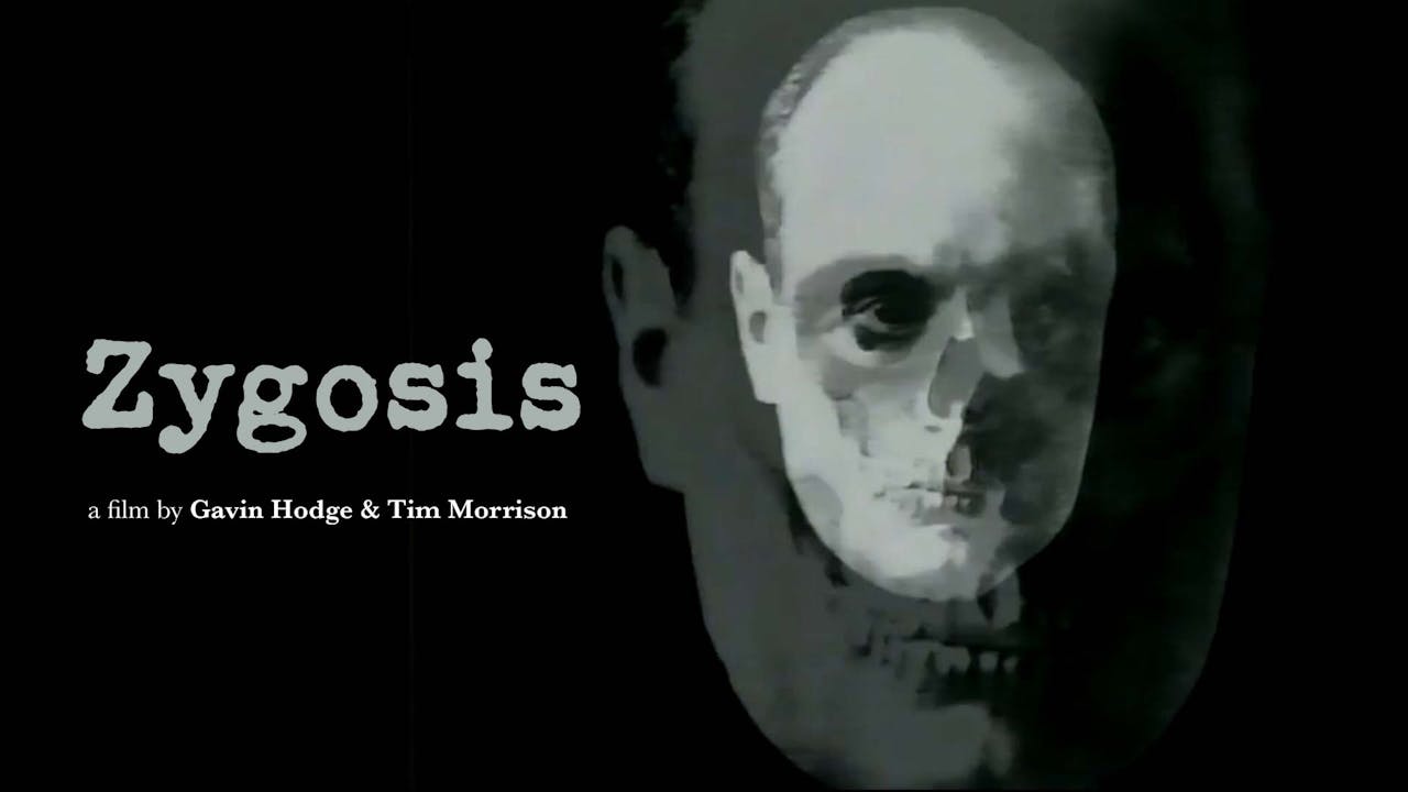 Zygosis: John Heartfield and the Political Image - OVID.tv