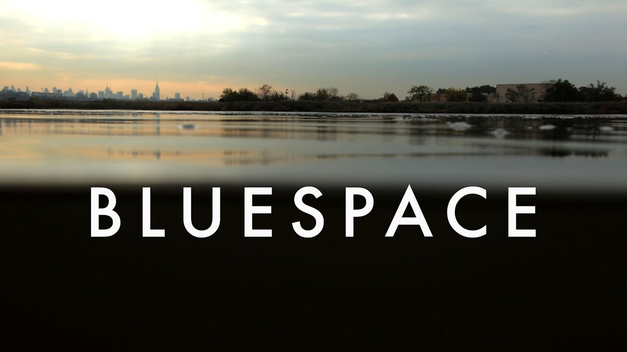 Bluespace - OVID.tv