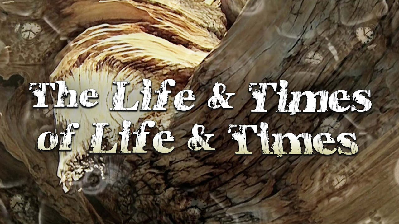 The Life and Times of Life and Times - OVID.tv