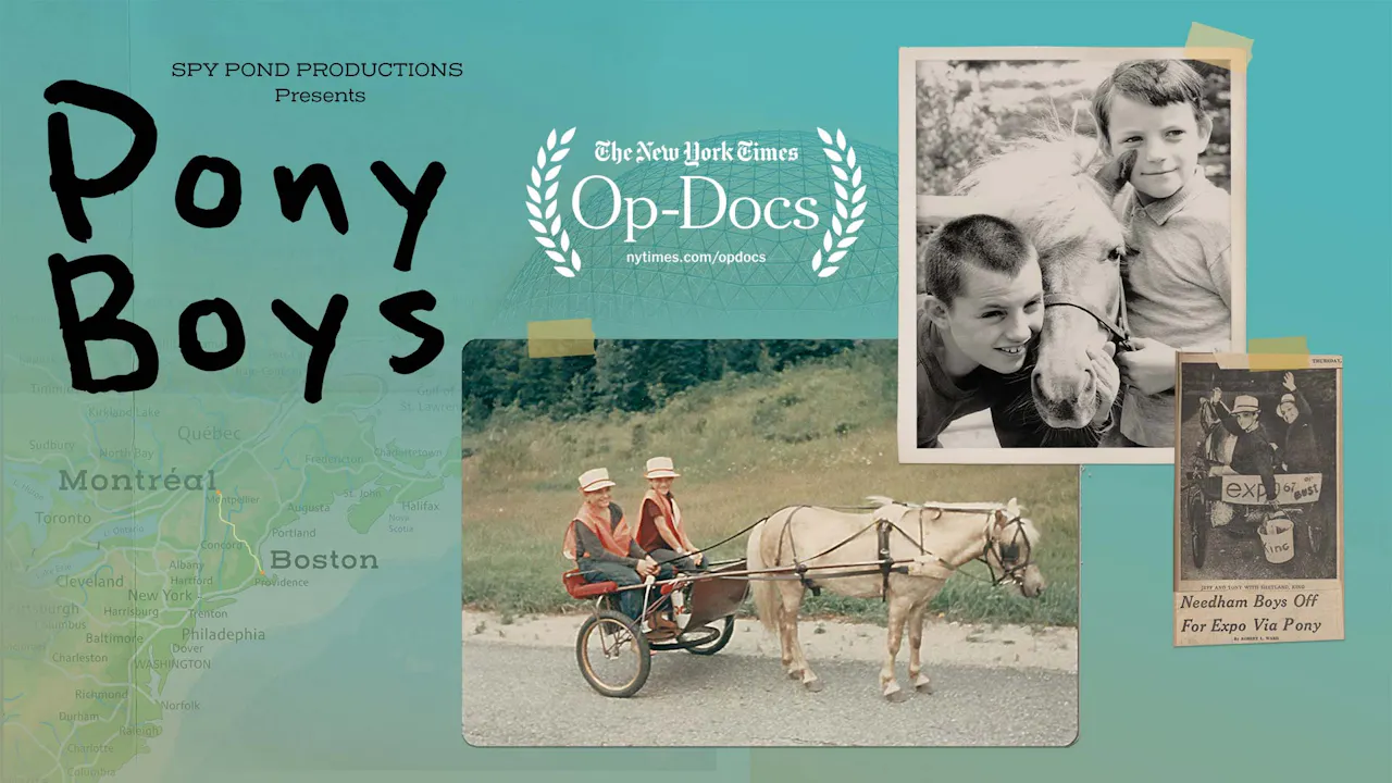 Pony Boys - OVID.tv