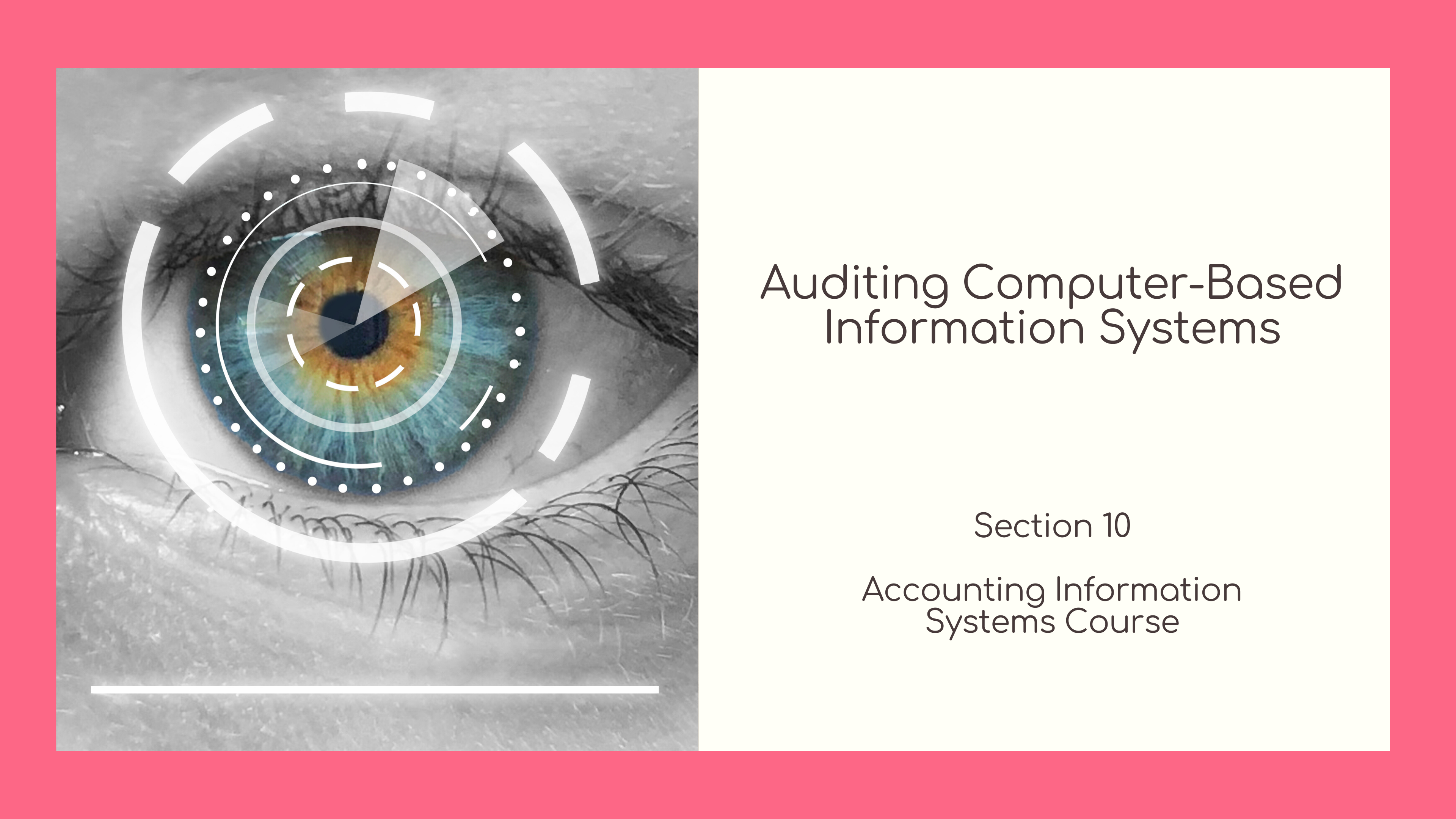 Section 10 - Auditing Computer-Based Information Systems - Patrick Lee, MSA