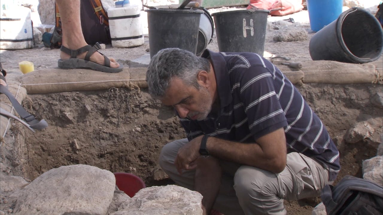 William Dever - The Moses Controversy Digit - Collector's Edition ...