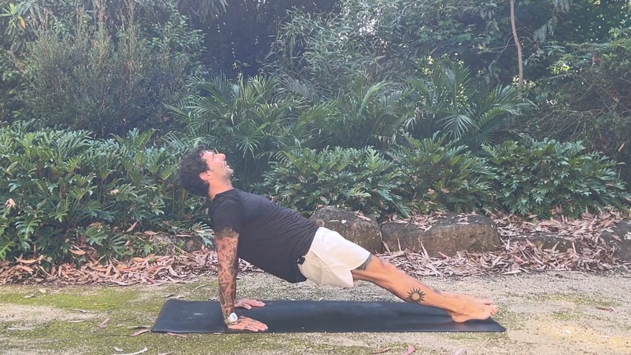 Arms by Alberto - Peaches Pilates Online