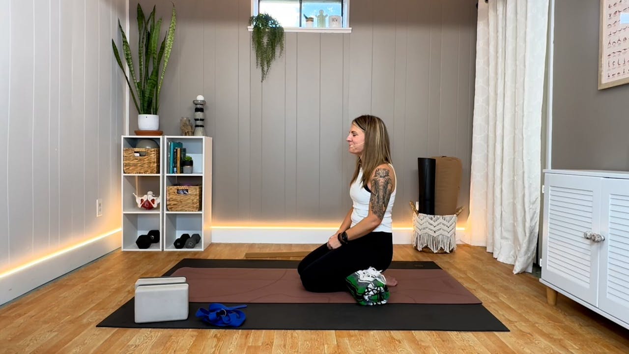 Damage Control for Low Back & SI Joint (Bonus Class) - Pelvic Health Yogi